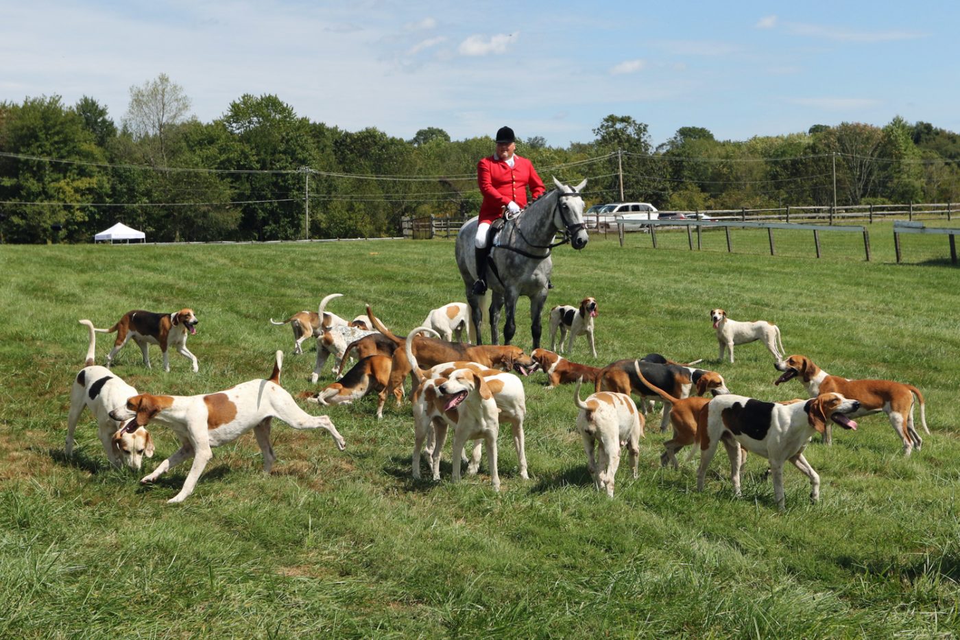 Radnor Hunt Concours Subscriber Photo Gallery