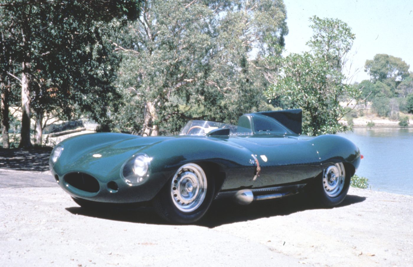 The Chemist and the Cat