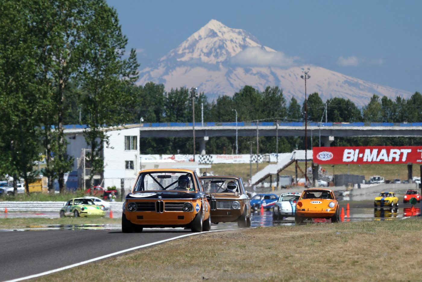 Portland's Rose Cup Returns in July