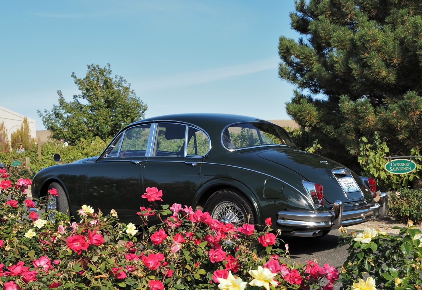 The Jaguar Club’s 2021 End of Summer Drive