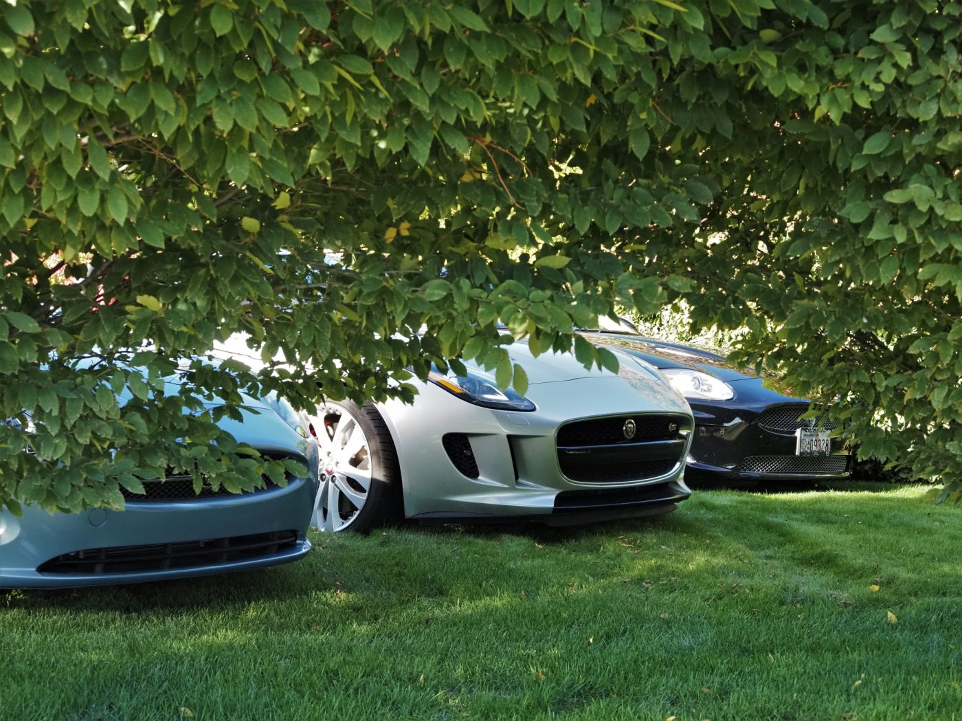 The Jaguar Club’s 2021 End of Summer Drive