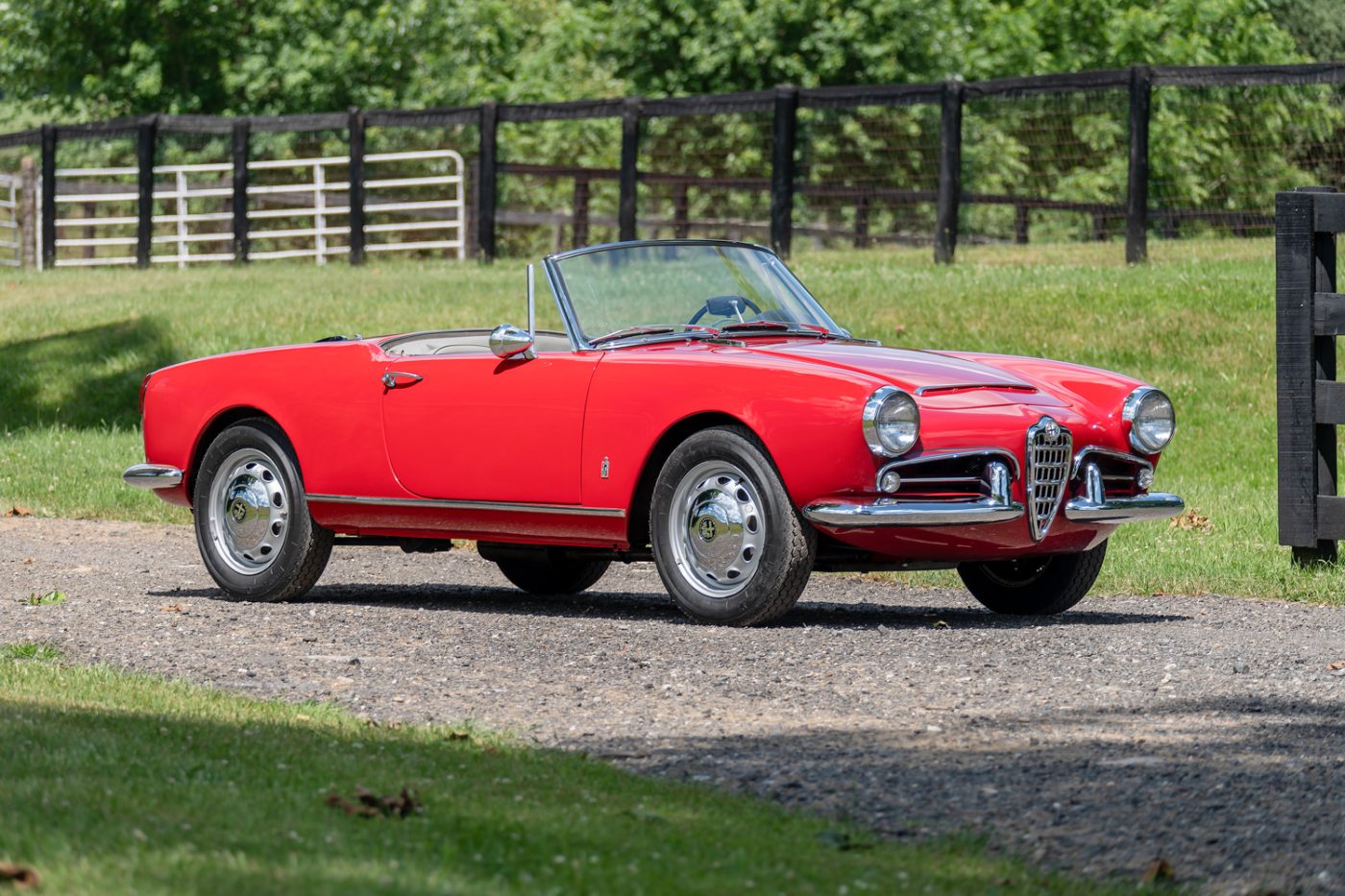 1963 Alfa Romeo Giulia Spider