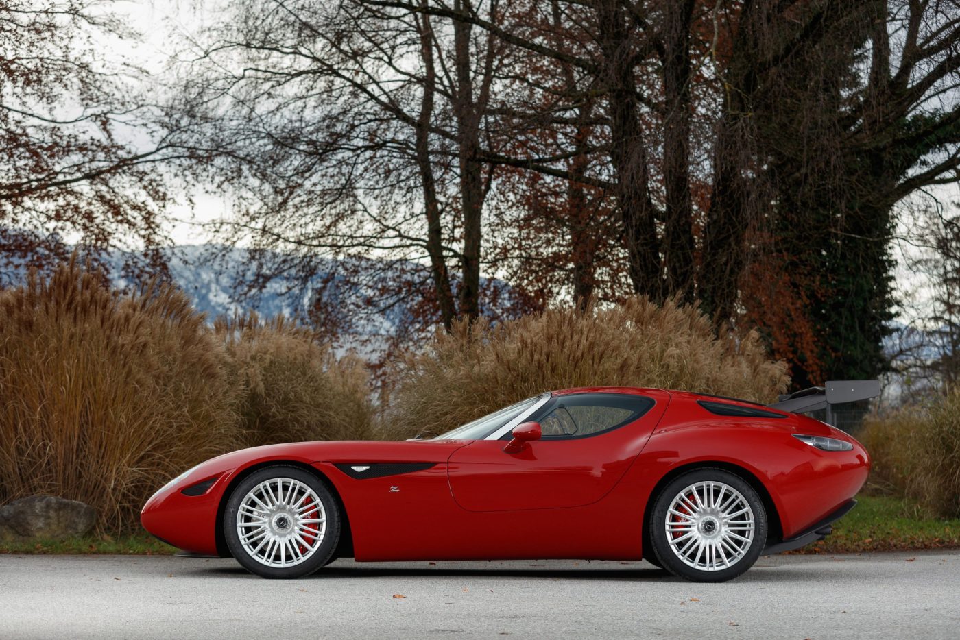 Car Of The Day: 2016 Zagato Mostro Coupé