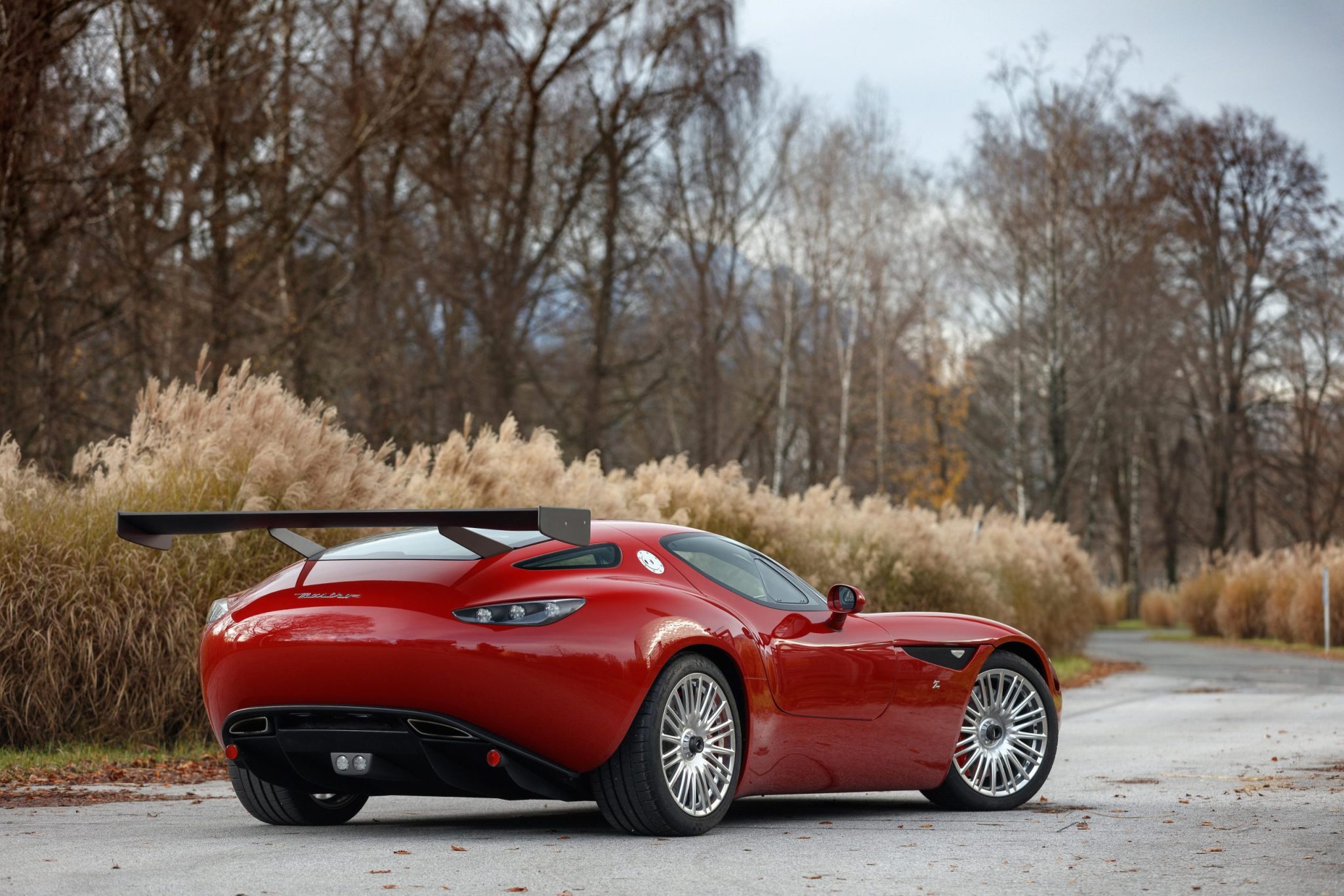 Car Of The Day: 2016 Zagato Mostro Coupé