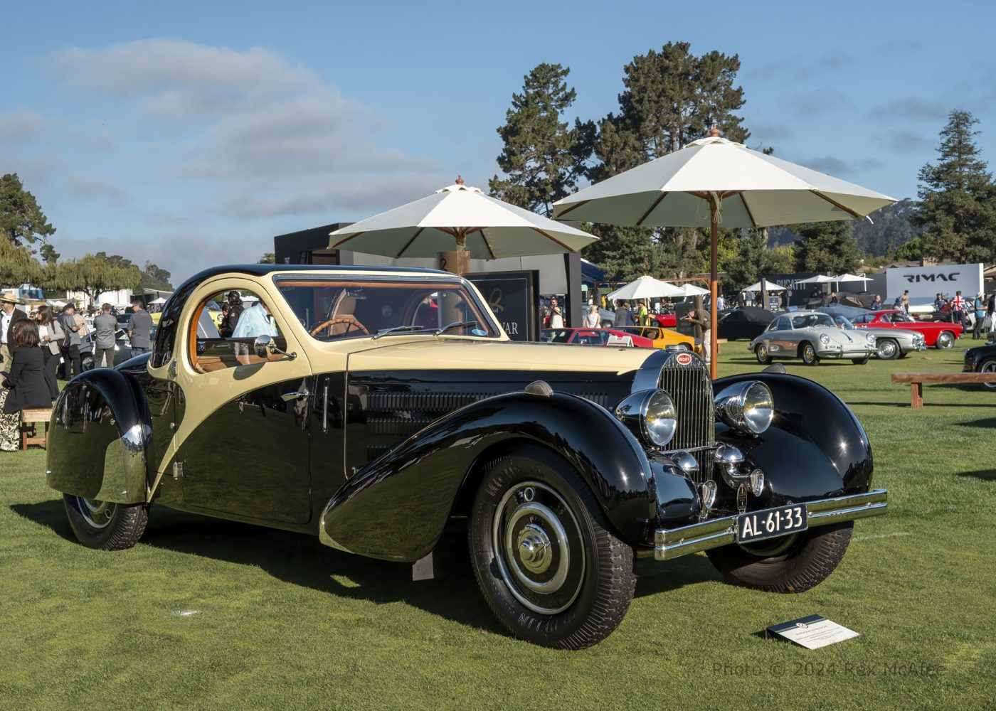 The Quail – Putting the “Panache” on the lawns in 2024