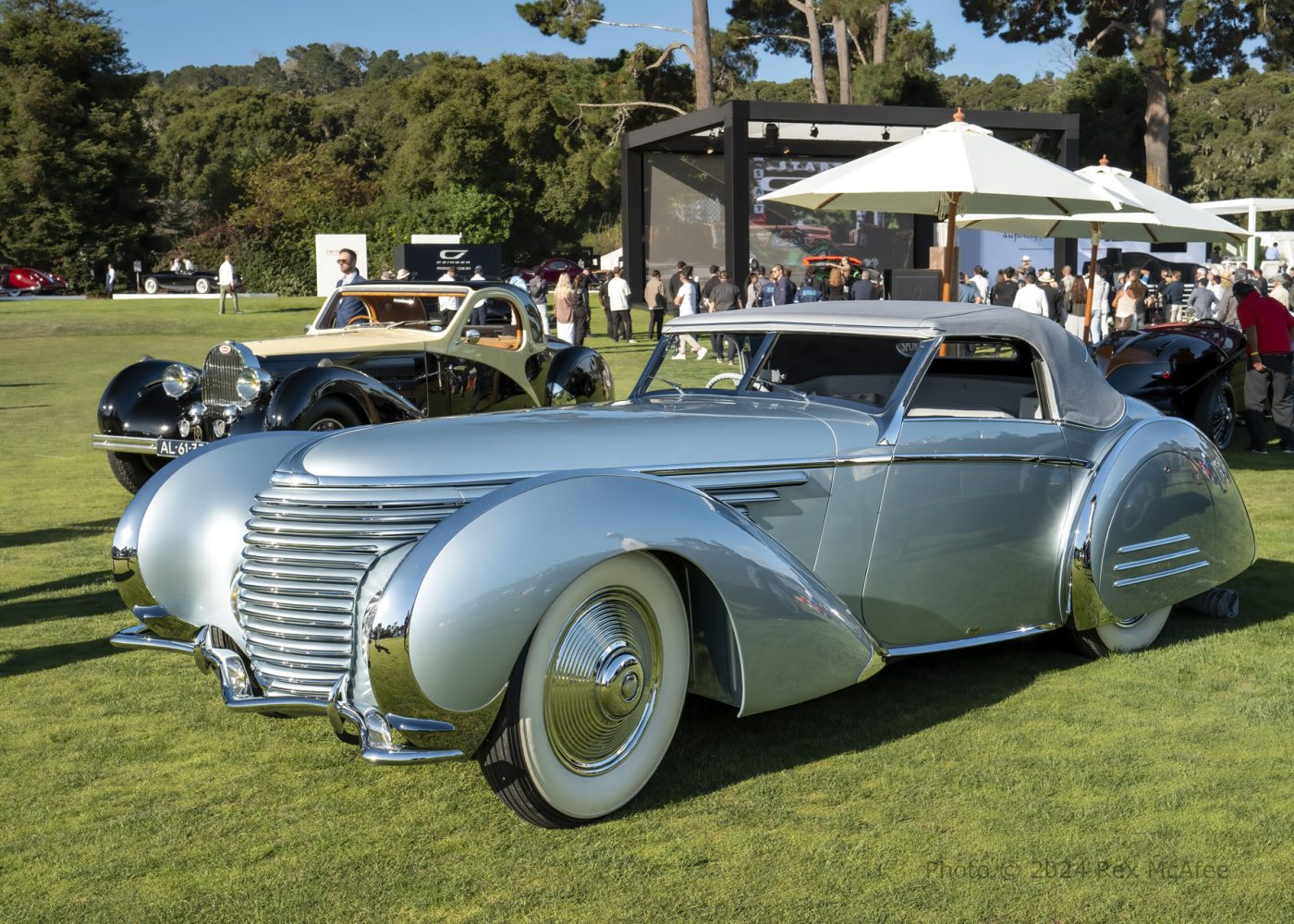 The Quail – Putting the “Panache” on the lawns in 2024